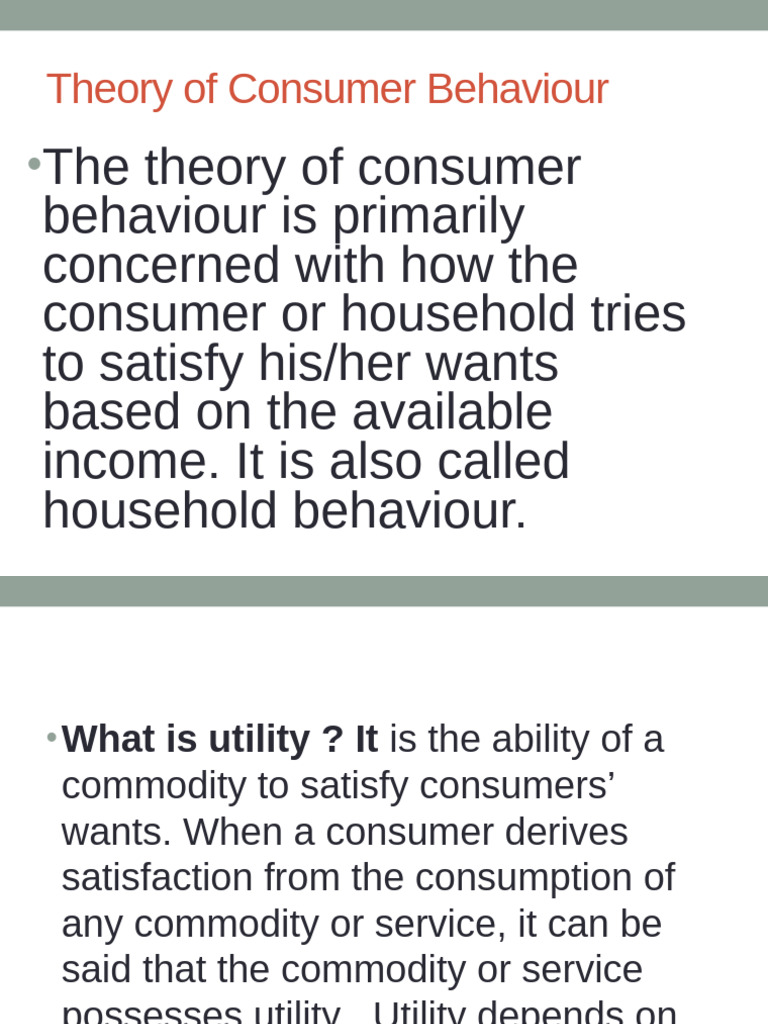 Understanding Consumer Behaviour Theory | PDF | Utility | Consumers