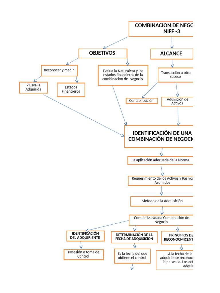 Mapa Conceptual Niff 3 | PDF