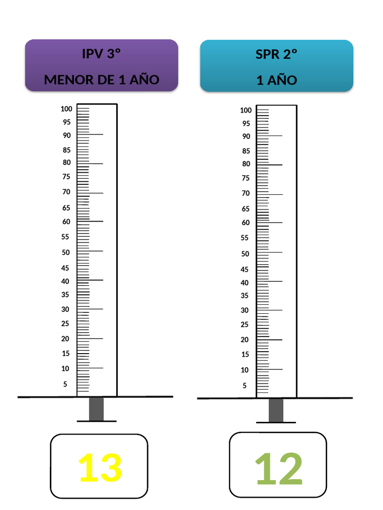 VACUNOMETRO SVA | PDF