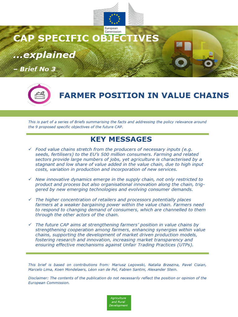 CAP Briefer - 3 Farmer Positions in Value Chains | PDF | Supply Chain ...