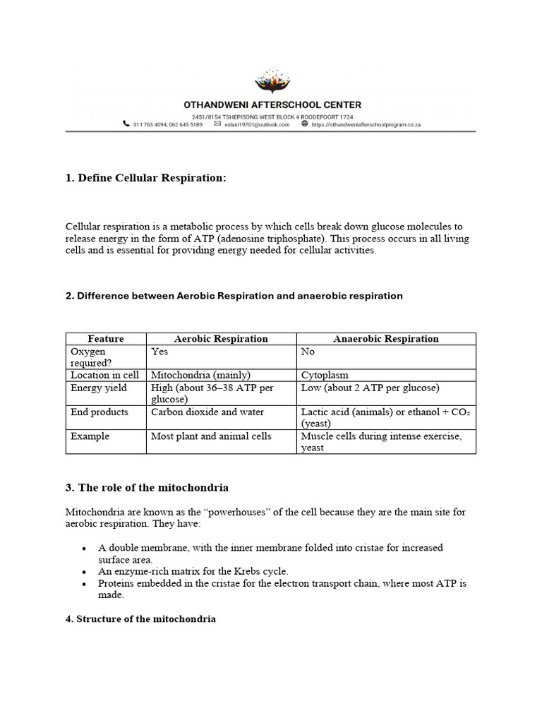 Cellular Respiration Worksheet | PDF | Cellular Respiration | Adenosine ...