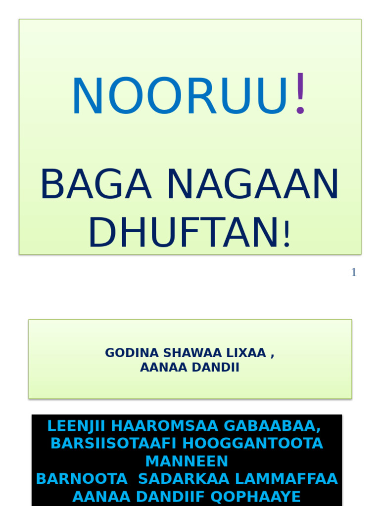 Ginchi 1 DOWfi Action Research | PDF