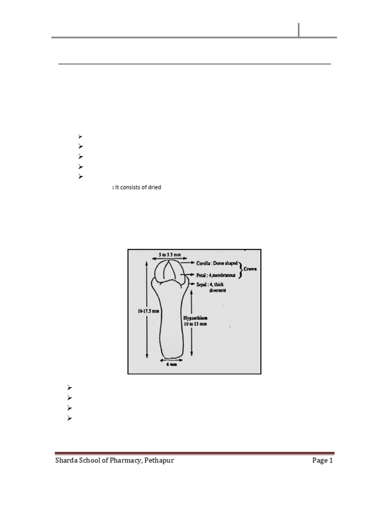 Practical 12 Morpholgy, Microscopy and Powder Study of Clove | PDF ...