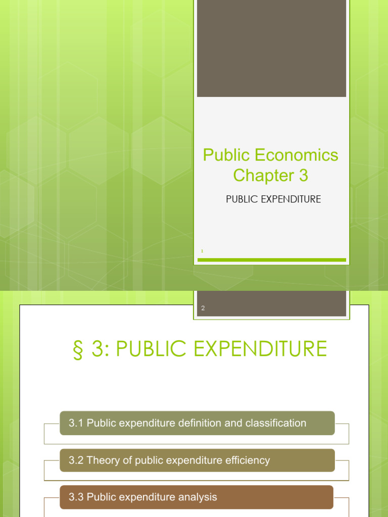 Understanding Public Expenditure Concepts | PDF | Budget | Government ...