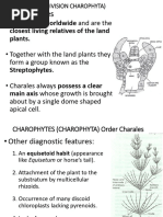 Chara | PDF | Algae | Biology