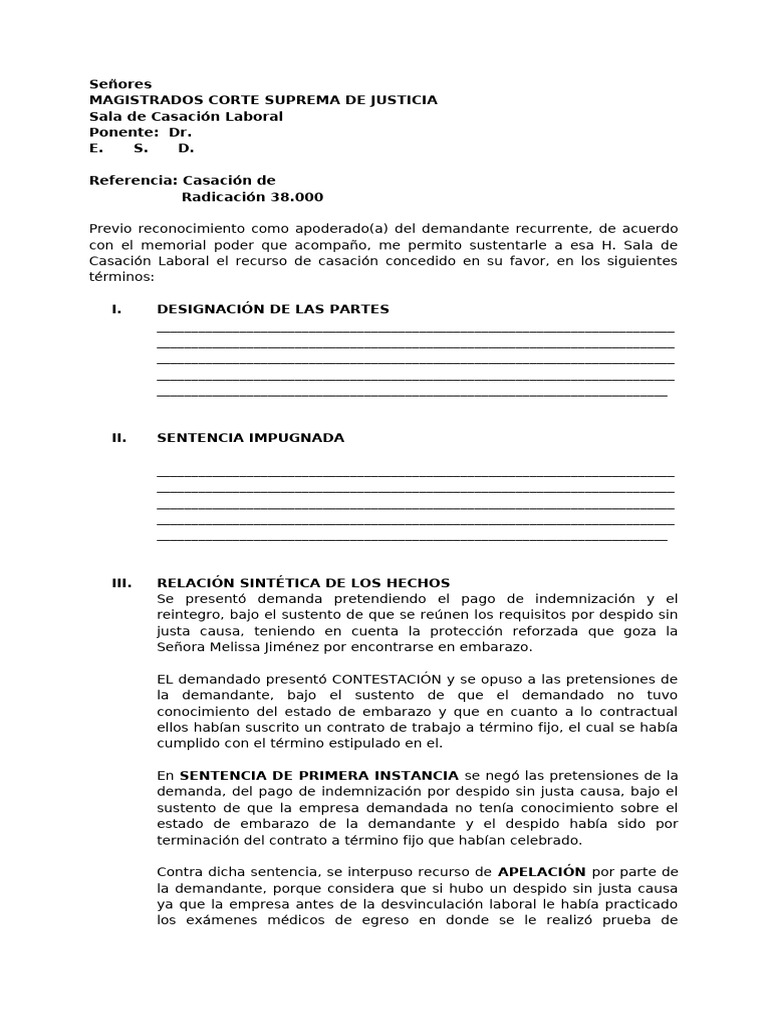 ESQUEMA DE DEMANDA CASACIÓN | PDF | Separación de poderes | Ley Pública