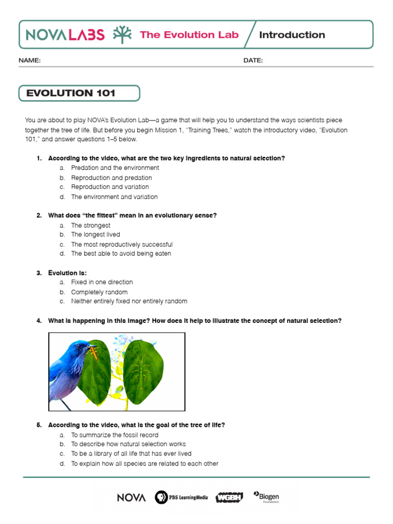 330 Biology 19-2 Lab - NOVA Evolution - Introduction | PDF