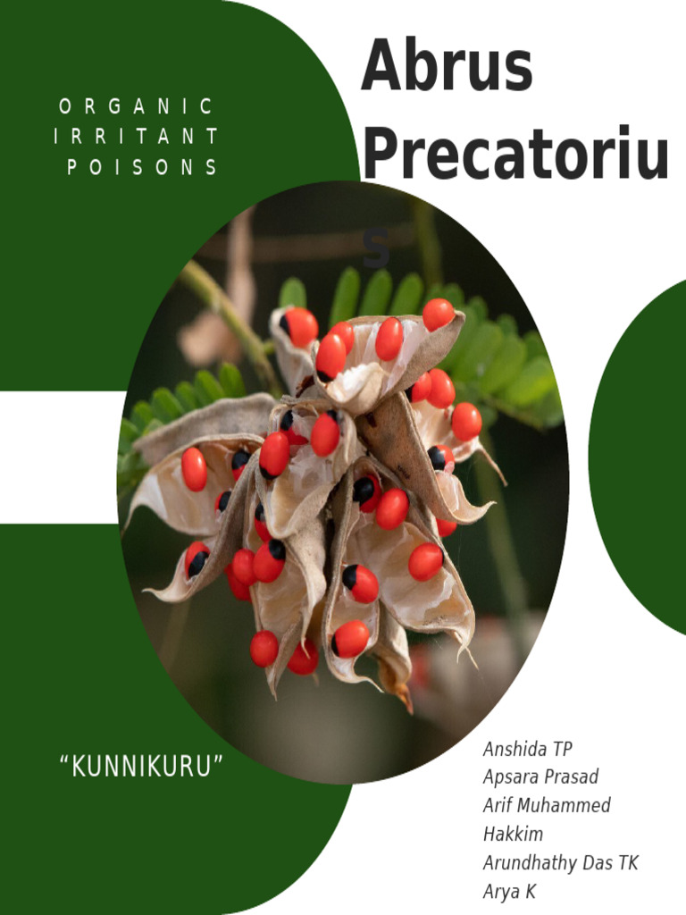 Abrus Precatorius Seminar | PDF