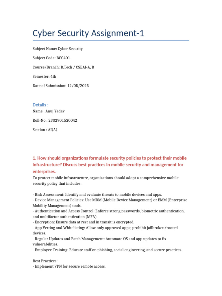 Cyber_Security_Assignment | PDF | Security | Computer Security