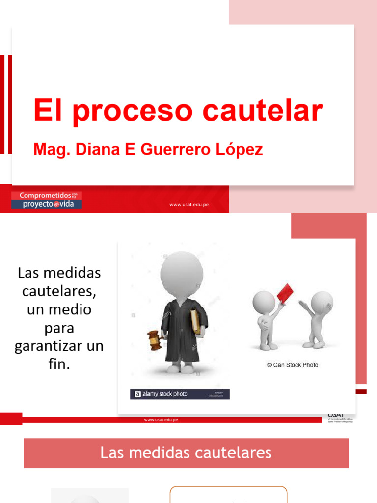 El Proceso Cautelar Clase 01 | PDF | Mandato