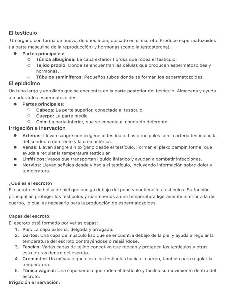 Estructura y función del escroto y testículos | PDF | Testículo | Anatomía