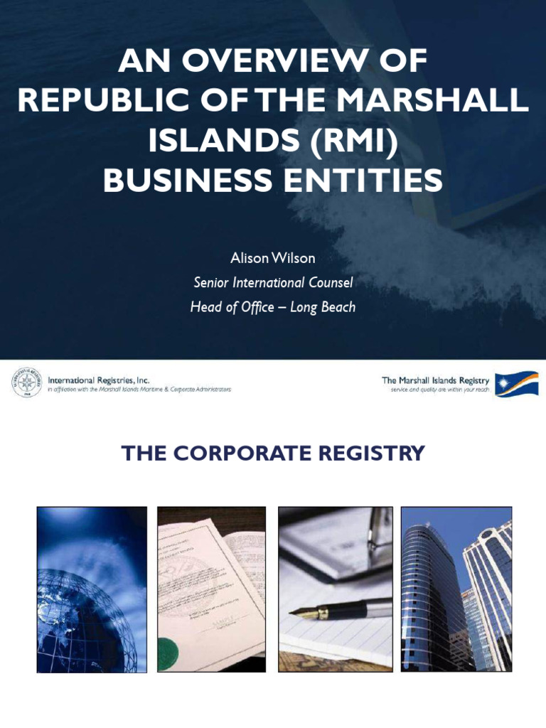 An Overview of RMI Business | PDF | Limited Liability Company ...