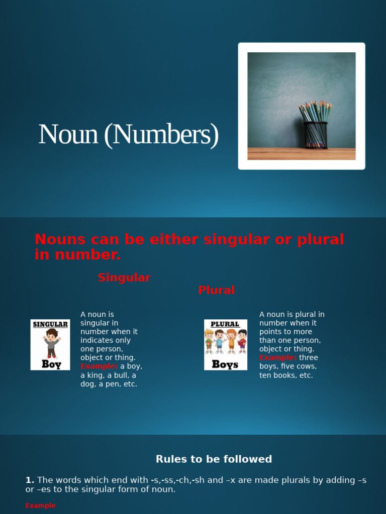 Noun (Numbers) | PDF | Plural | Grammatical Number