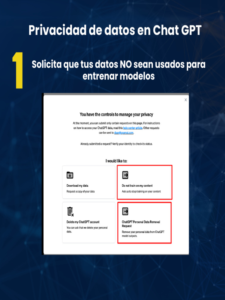 Datos Privados Chat GPT | PDF