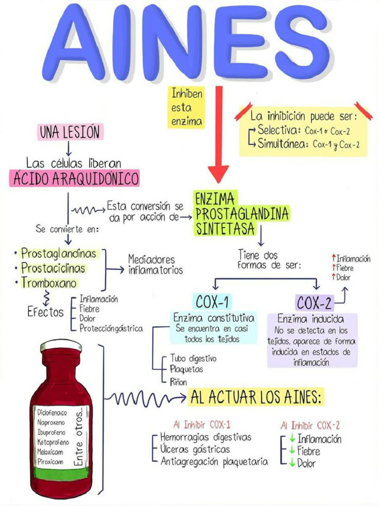 AINES | PDF