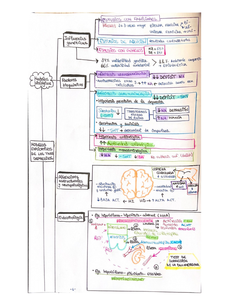 Esquema modelos depre | PDF