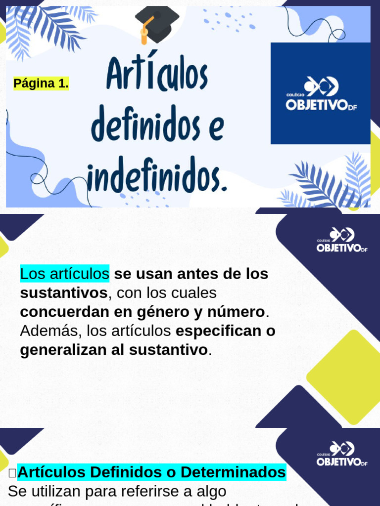2 SÉRIE - Los Artículos Definidos e Indefinidos. | PDF
