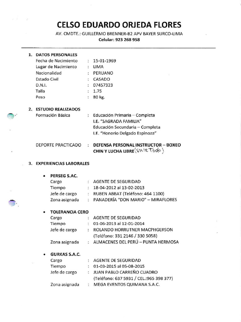 CV Documentado Celso Orjeda Flores | PDF