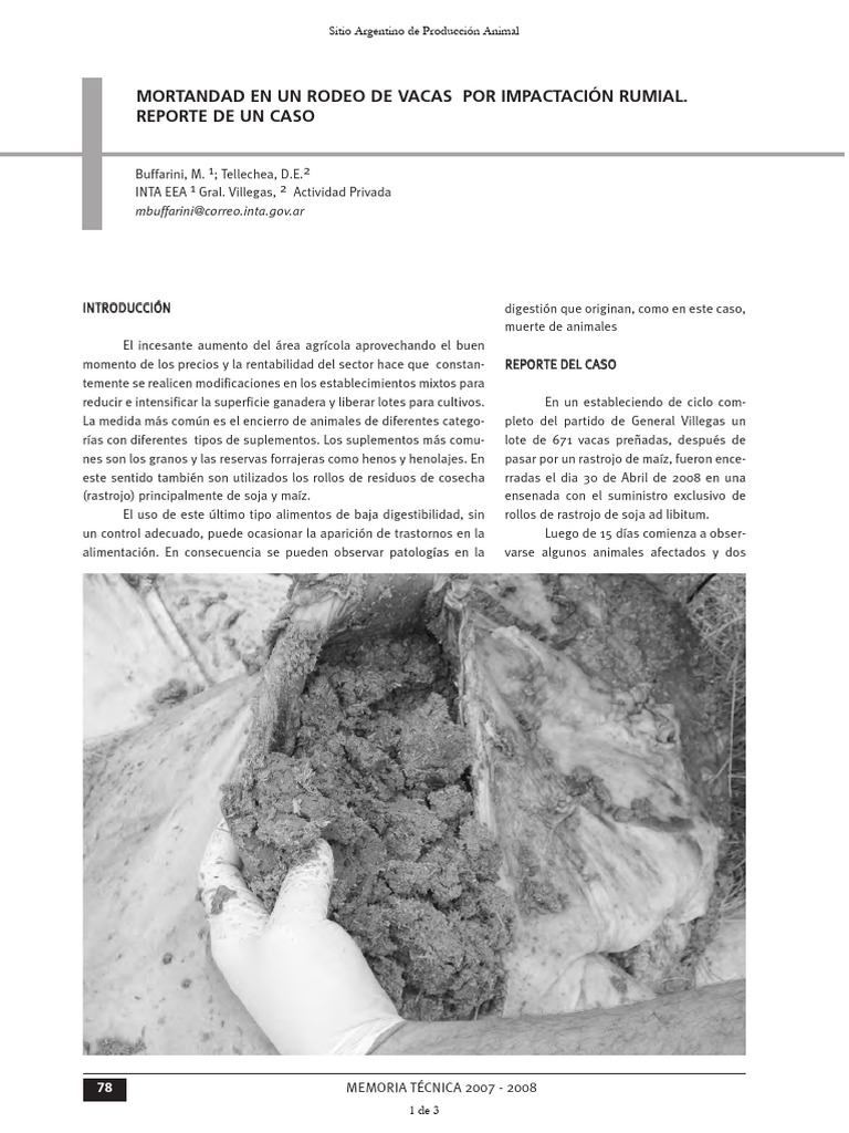 Impactacion Rumial | PDF