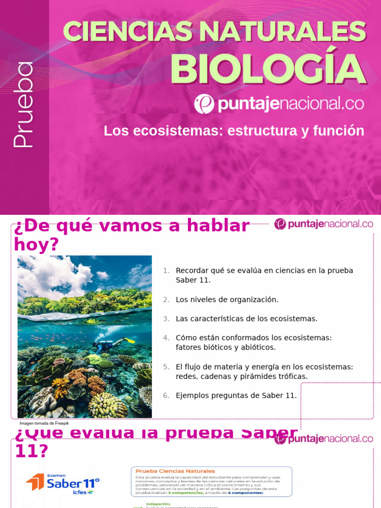 Ecosistemas Icfes Clase (1) | PDF | Plantas | Ecosistema
