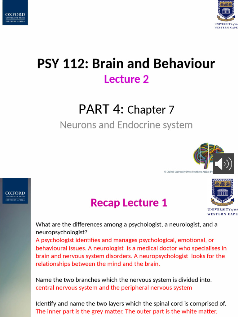 Lecture 2 - PSY112 - Neurons and Endocrine System - Narrated | PDF | Neuron | Neurotransmitter