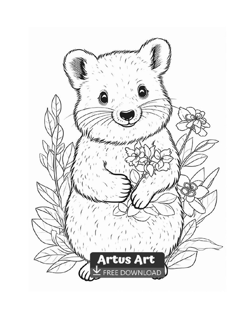 Document Sense Títol | PDF