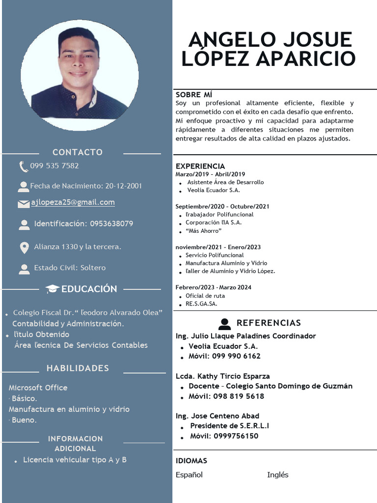 CV Angelo Lopez Actualizado 2025 | PDF