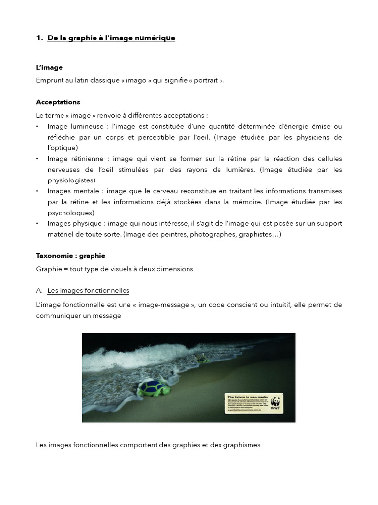 Comprendre l'image numérique et ses types | PDF | Vision | Lumière