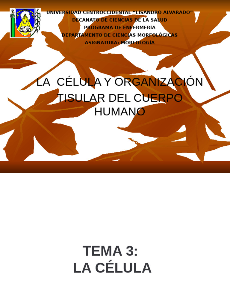 CLASE TEÓRICA DE LA CÉLULA Y ORGANIZACIÓN TISULAR DEL CUERPO HUMANO ...