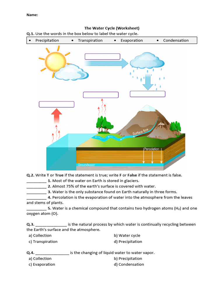 Understanding Water Runoff | PDF | Water | Water Cycle