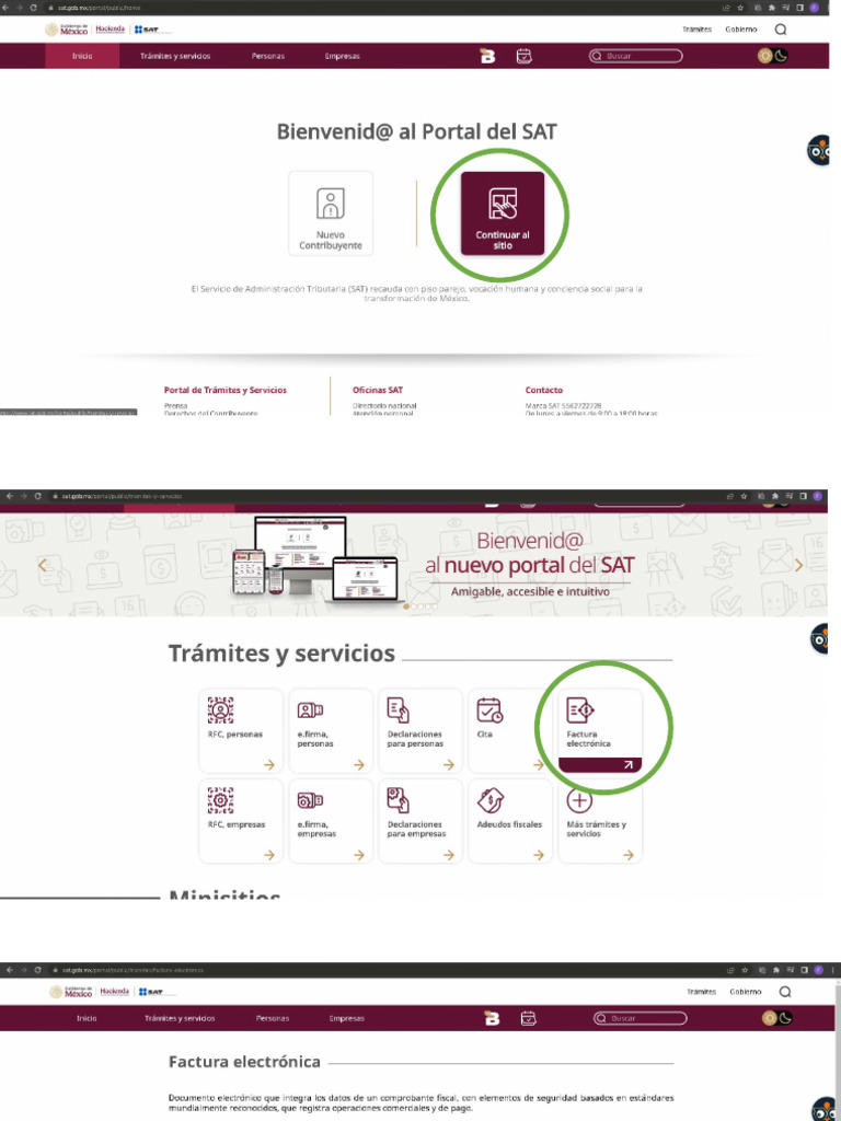 Tutorial Descargar Factura | PDF