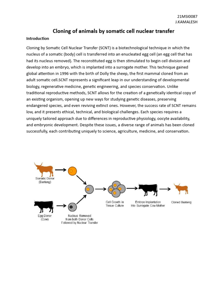 21msi0087 VL2024250502320 Assignmt3 | PDF | Cloning | Bioethics