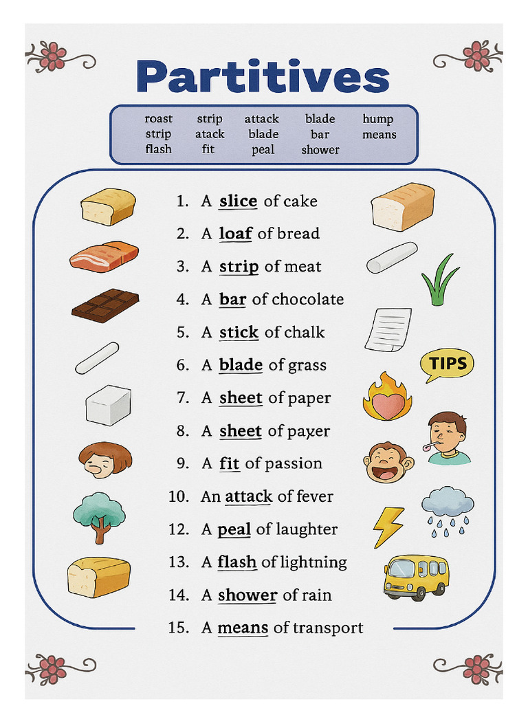 Partitives Worksheet | PDF