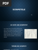 Lectia 5.2 Scripetele | PDF