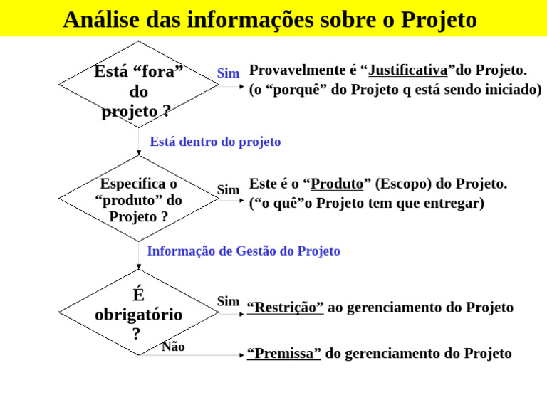 TAP - Project Charter_Prof Rui Pinto_Fluxograma | PDF