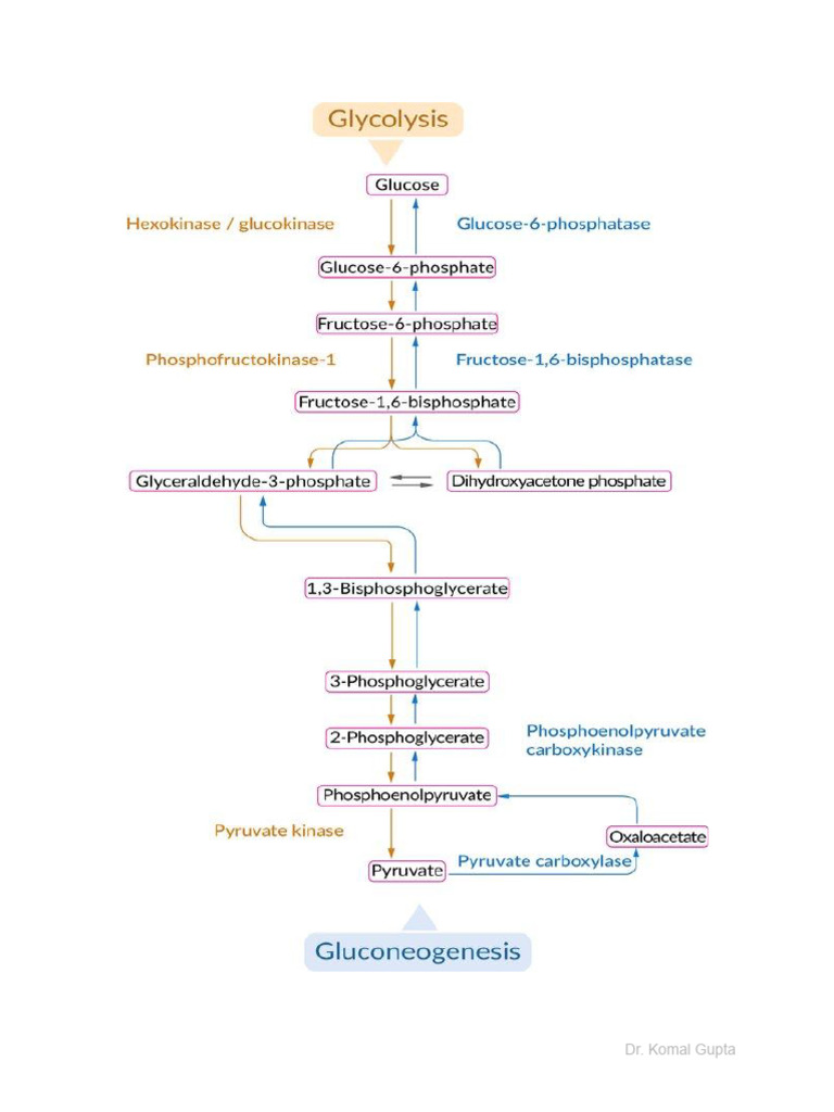 Tables Biochemistry | PDF