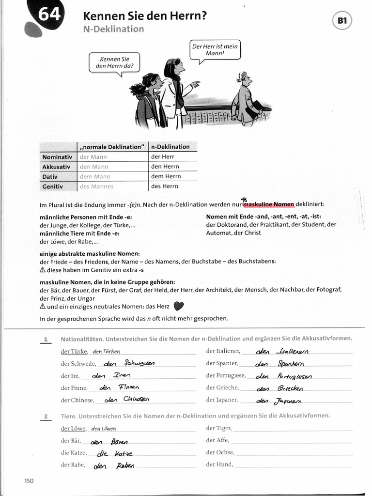 64 - N-Deklination (B1) | PDF