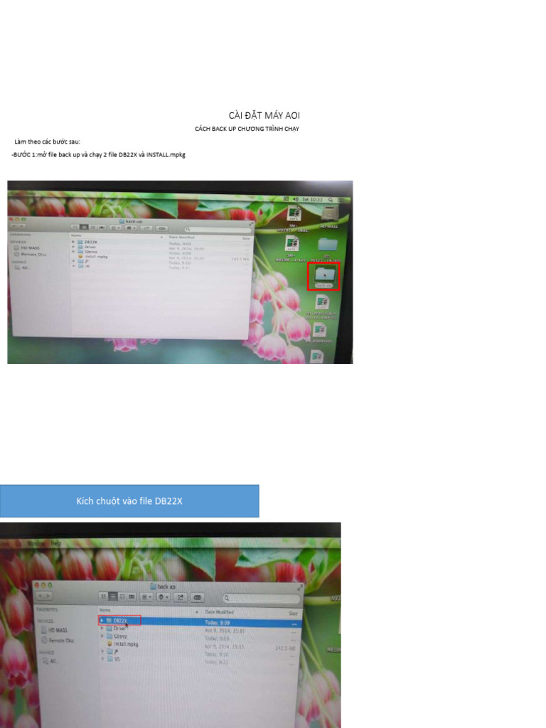 Mass 2D Aoi Setup | PDF