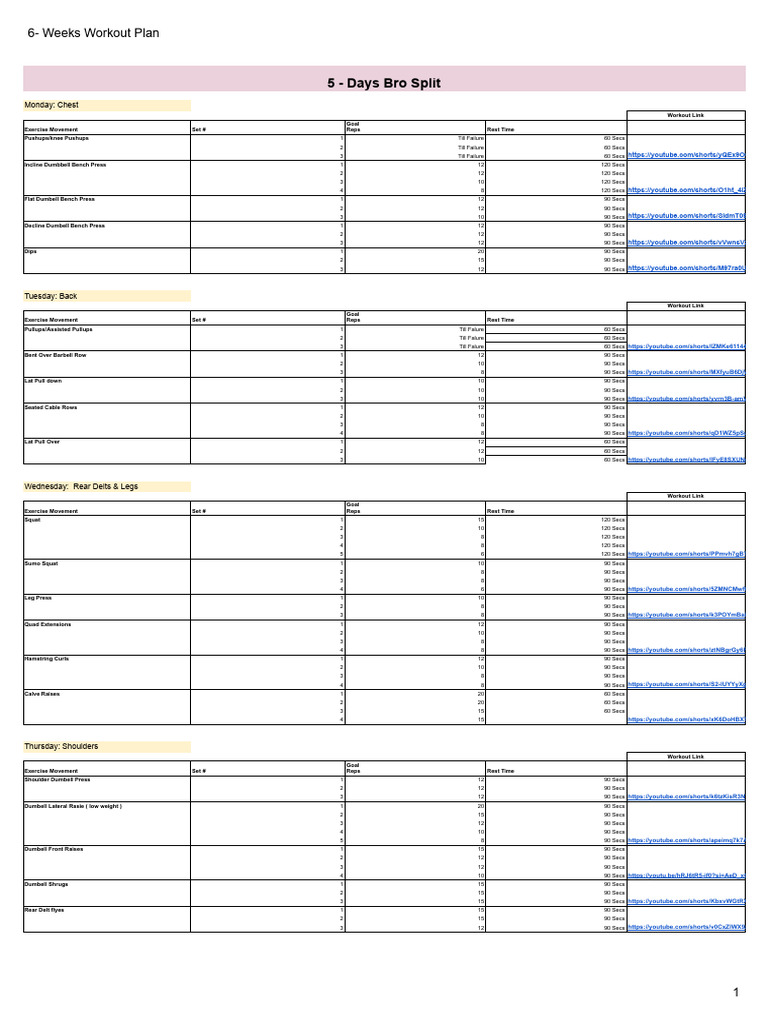 6-Week Bro Split Workout Plan | PDF | Weight Training | Physical Exercise