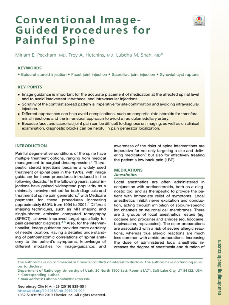 Image-Guided Spine Pain Procedures | PDF | Vertebra