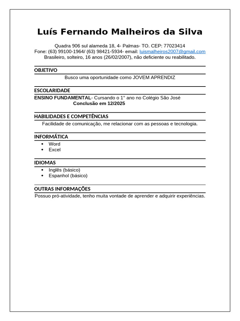 Luis Curriculo | PDF