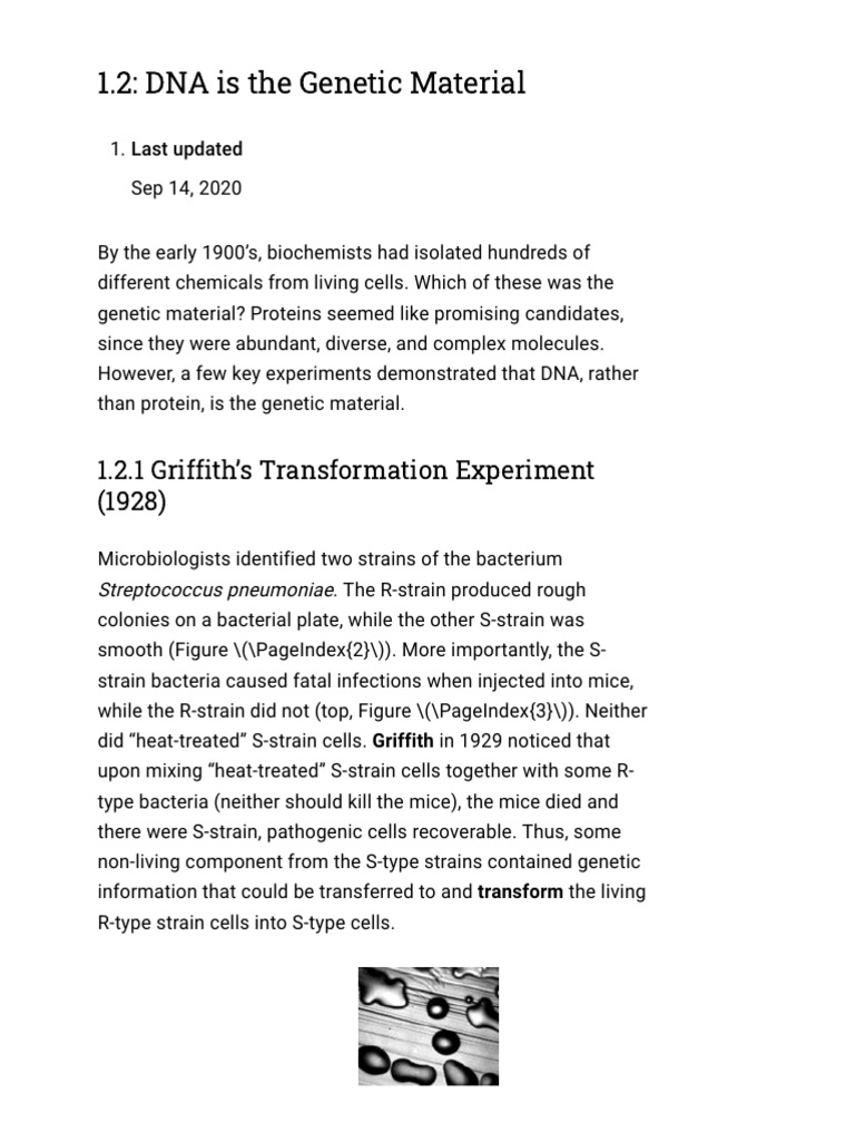 1.2 - DNA Is The Genetic Material - Biology LibreTexts | PDF | Health ...