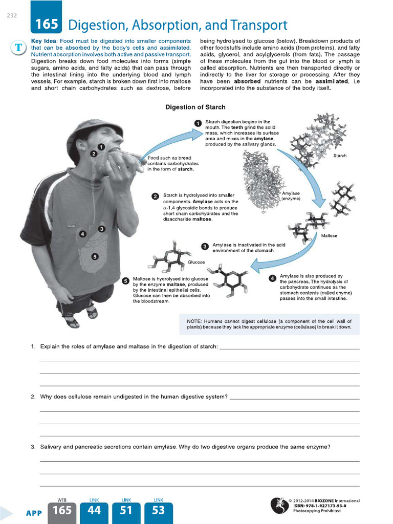 9th Grade Chapter 7 Worksheet 2 | PDF