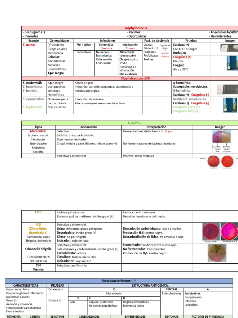 TABLA BACTER (Recuperado Automáticamente) | PDF | Escherichia coli ...