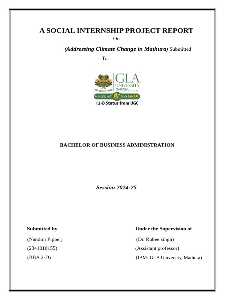 Nandini Pippel Social Internship Program PDF | PDF | Climate Change ...