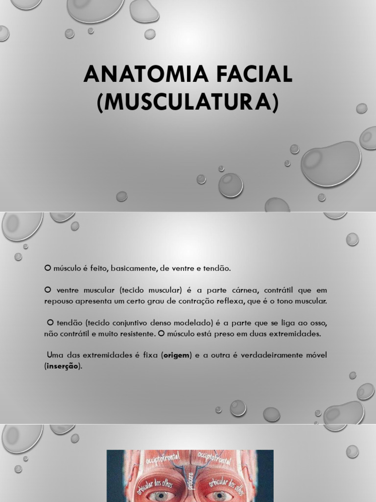 Anatomia dos Músculos Faciais | PDF | Músculo | Boca