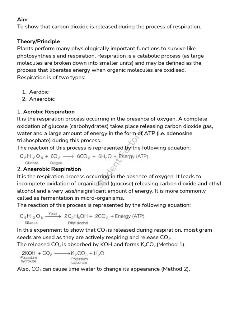 CO2 Is Released During Respiration | PDF | Cellular Respiration ...