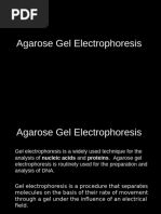 How To Read, Interpret and Analyze Gel Electrophoresis Results | PDF | Gel Electrophoresis ...