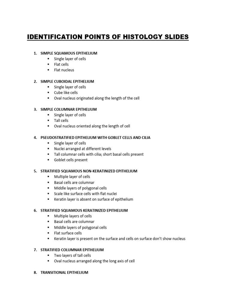 Identification Points of Histology Slides | PDF | Epithelium | Bone