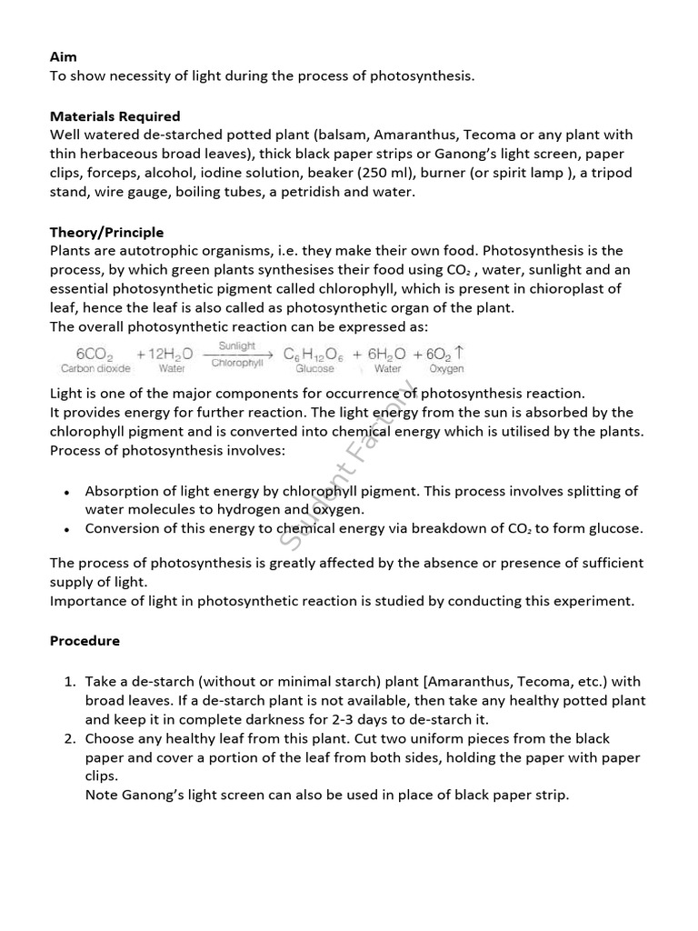 Importance of Light in Photosynthesis | PDF | Photosynthesis | Chemistry